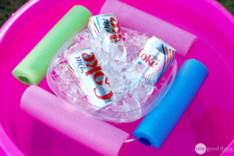 10 Brilliant Pool Noodle Hacks