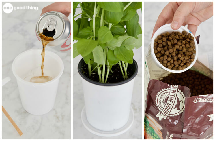How To Repurpose Plastic Containers Using This Quick And Easy Trick