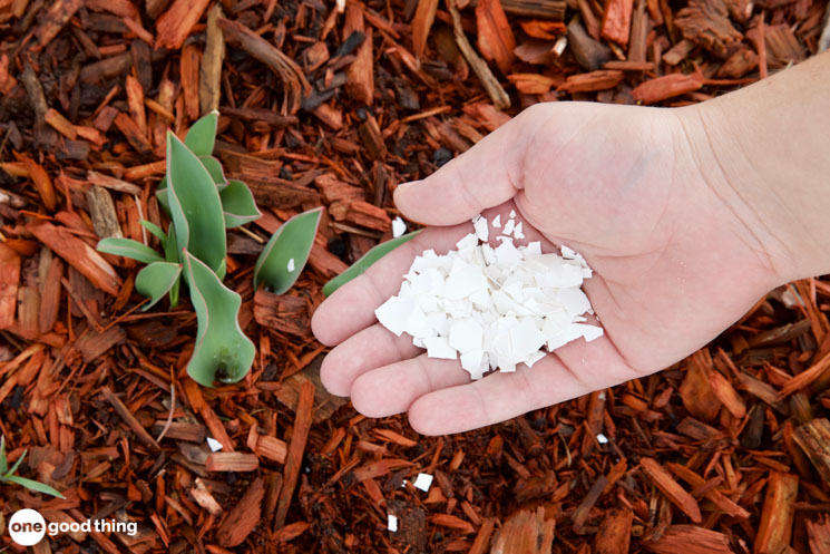 9 Useful Ways To Use Expired Foods