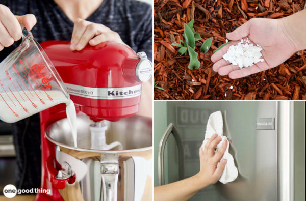 9 Useful Ways To Use Expired Foods
