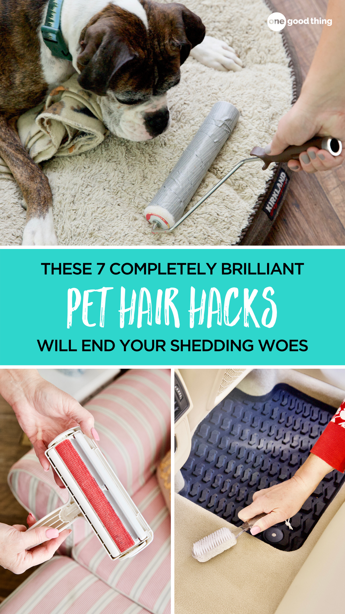 7 Brilliant Pet Hair Hacks Every Pet Owner Should Know