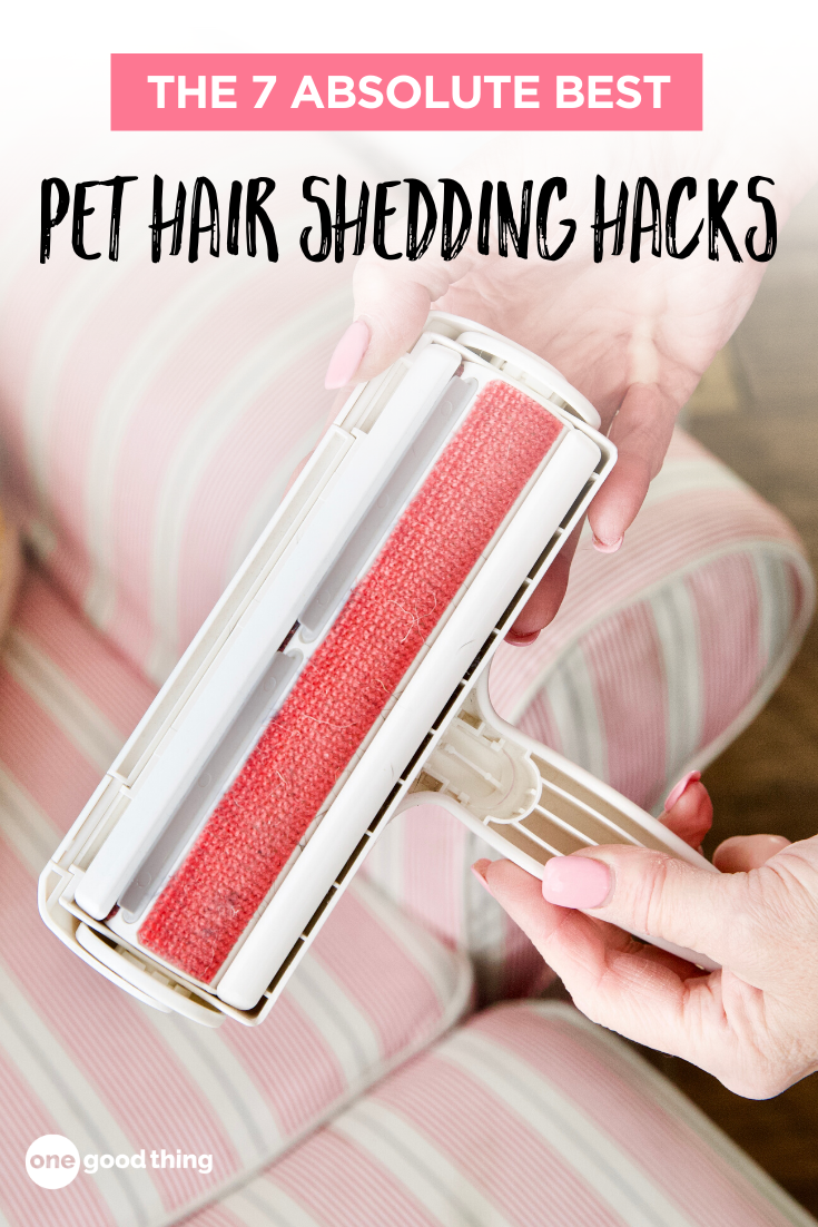 7 Brilliant Pet Hair Hacks Every Pet Owner Should Know