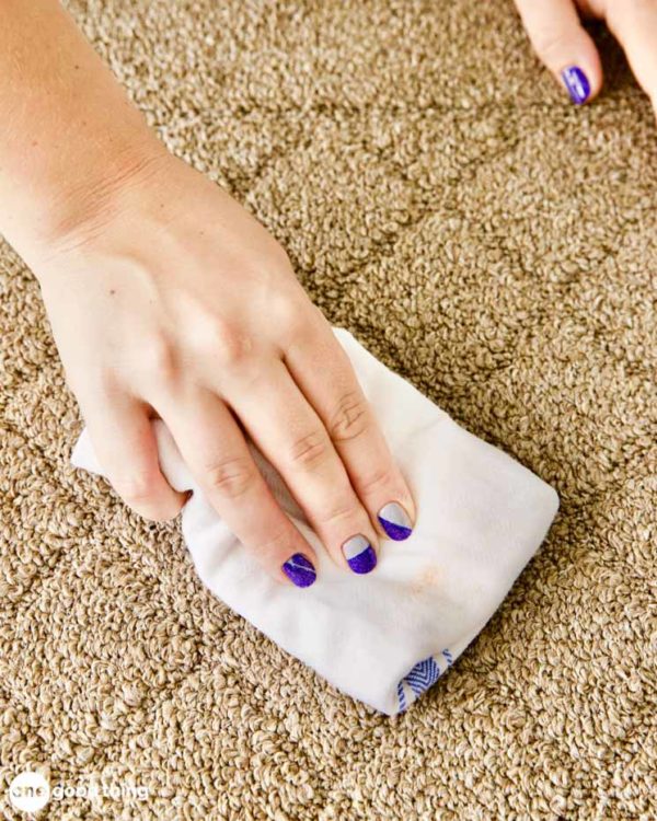 How To Make Your Own Carpet Stain Remover Spray