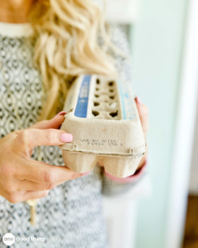 Egg Carton Codes: 3 Egg Codes Explained
