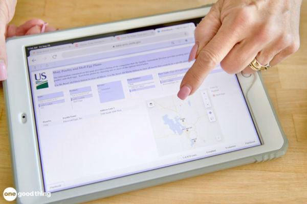 Egg Carton Codes: 3 Egg Codes Explained