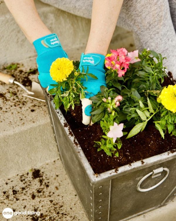 11 Tips For Planting Flower Pots That Will Thrive