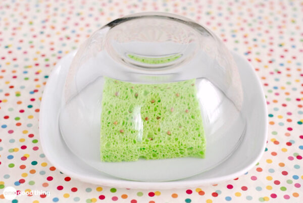 15 Clever Uses For Ordinary Kitchen Sponges