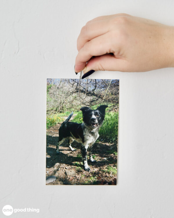 13 Creative And Practical Uses For Paper Clips