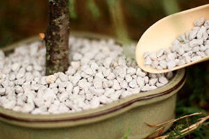9 Amazing Things You Can Do With A Pumice Stone