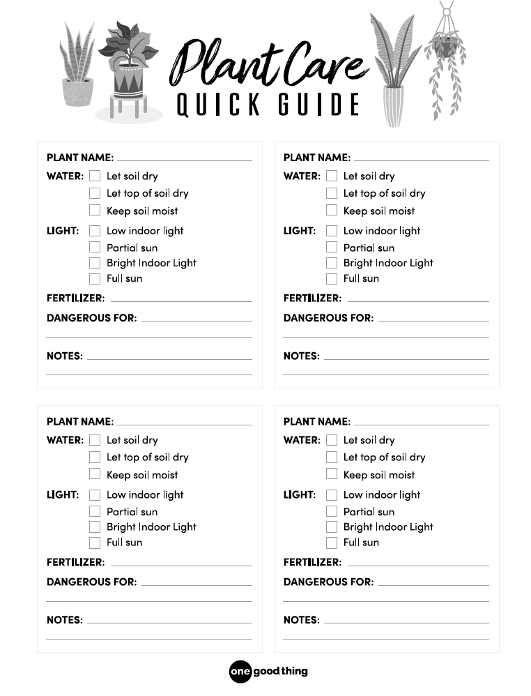 Plant Care Quick Guide Free Houseplant Care Chart Printable