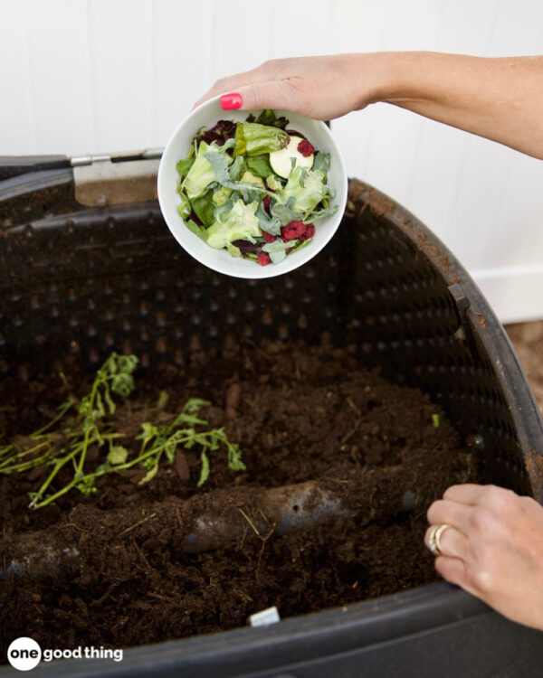13 Ways To Stop Wasting Food