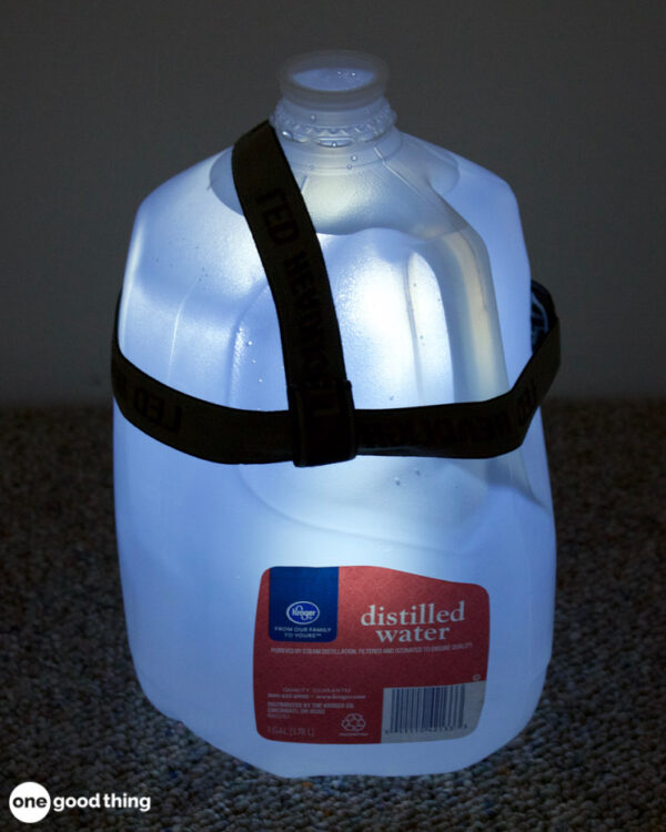 11 Practical And Creative Ways To Use Milk Jugs