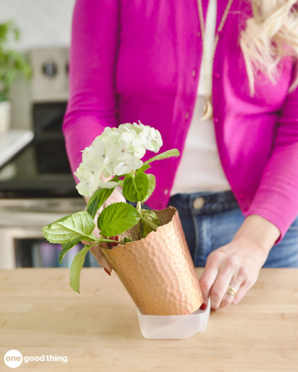 11 Practical And Creative Ways To Use Milk Jugs
