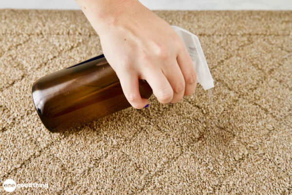 The Ultimate Guide to Removing Tough Carpet stains