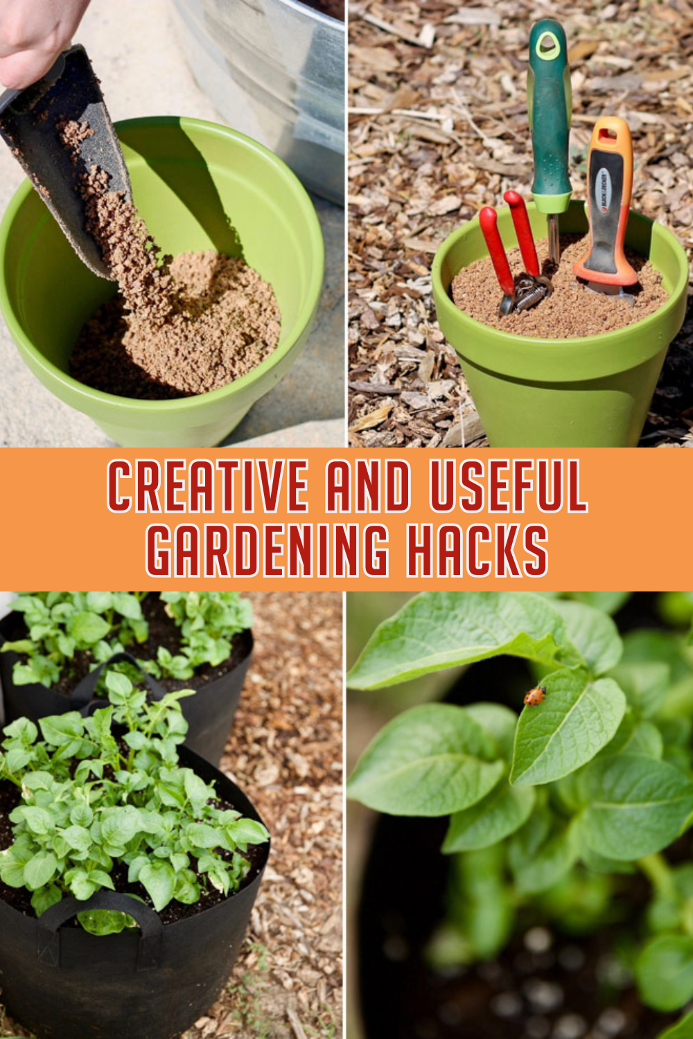 13 Of The Most Creative And Useful Gardening Hacks