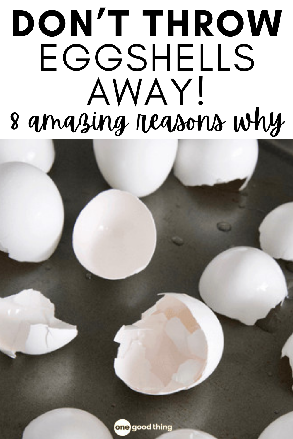 8 Surprising Uses For Eggshells